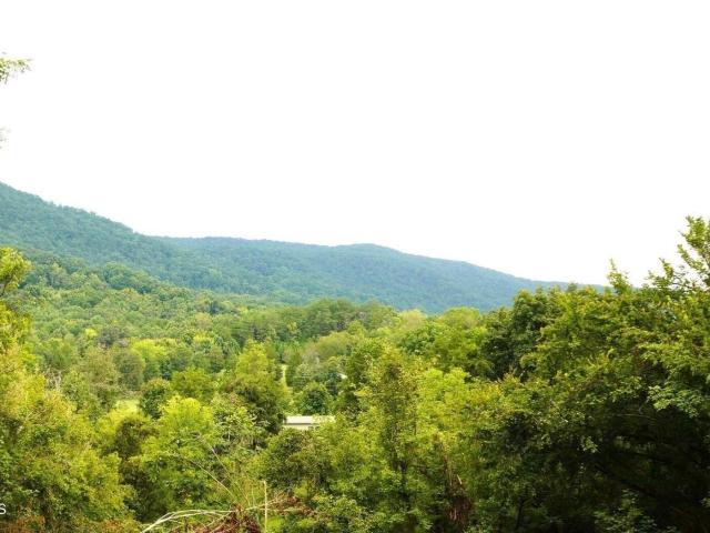 208 Mountain Rd