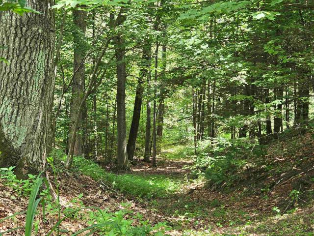 208 NH Route 3A
