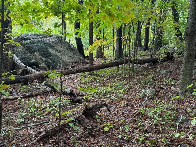 208 S Rd, New Hartford, CT 06057 | MLS #24125