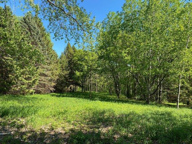 208 Skyline Dr, Wabasha, MN 55981