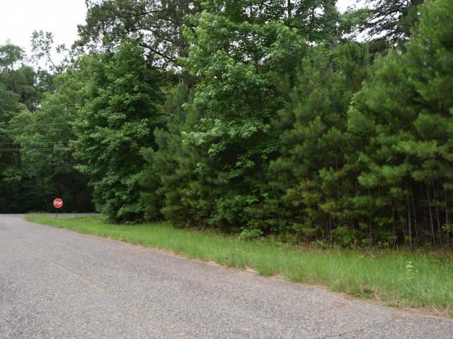 208 Palmetto Drive