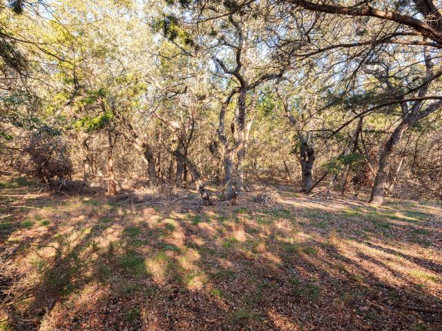 208 Thomas Oaks Dr, Wimberley, TX 78676 | MLS #9927