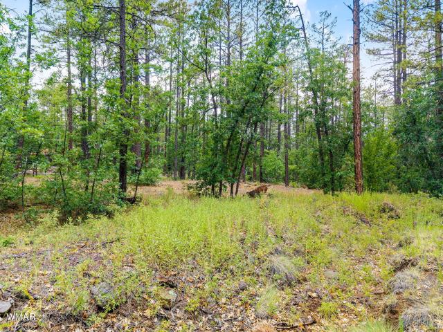 2094 Brown Bear Loop