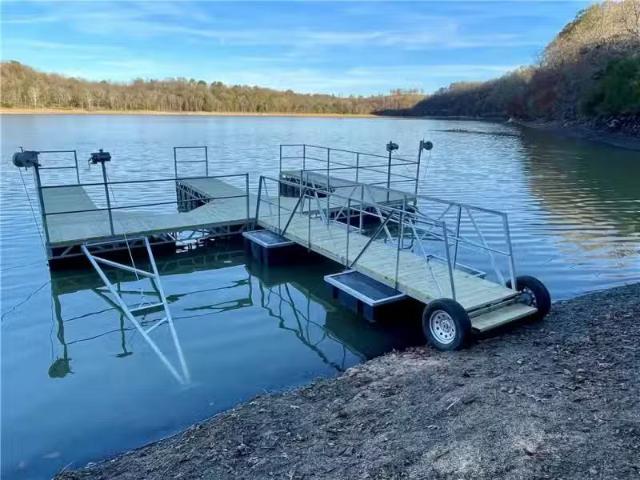 20954 AND 20946 HICKORY SPRINGS ROAD, HINDSVILLE, AR 72738 Vac.