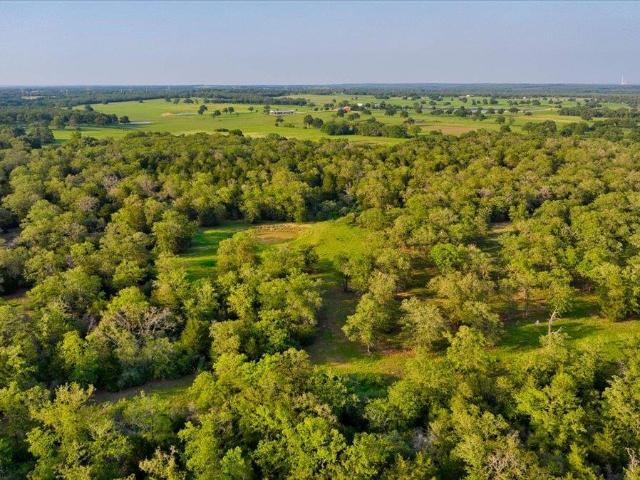 2095 County Road 442