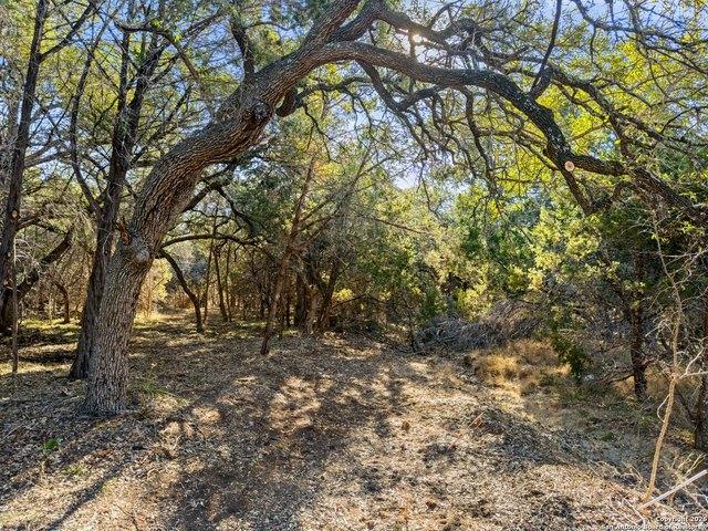 2095 Desiree St Lot 550, Canyon Lake, TX 78133