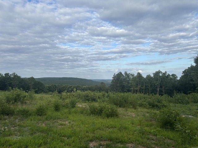 2095 Dry Mountain Rd, Drasco, AR 72530