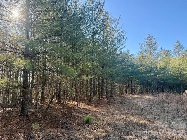 2095 Hitching Post Trail # G45