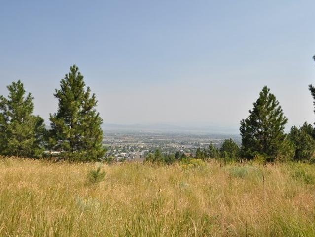 2095 Reber Rd Unit 1311, Helena, MT 59601