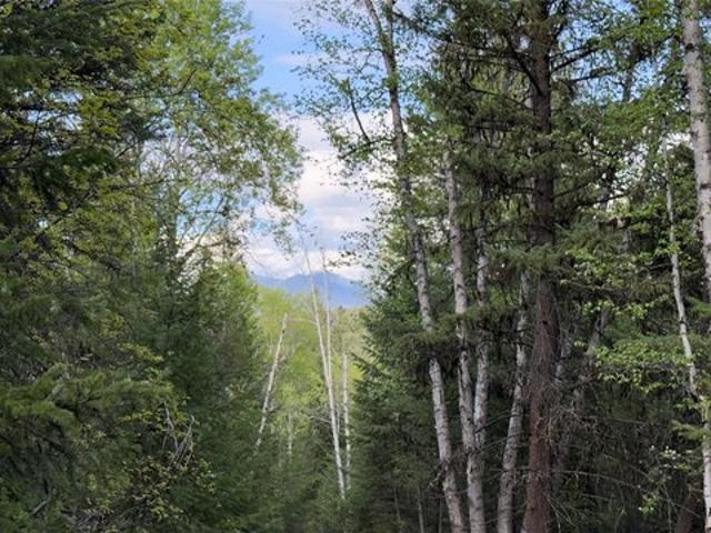 2096 Marl Lake Creek Rd, Eureka, MT 59917