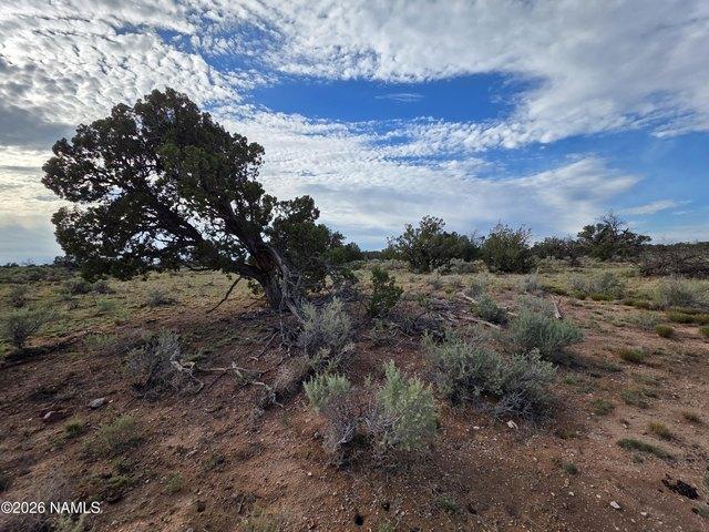 2097 Watchtower Pass, Williams, AZ 86046