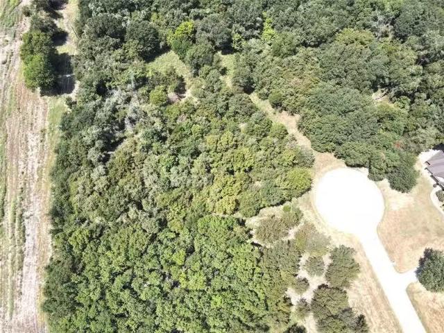2099 Parkview Dr, Wills Point, TX 75169