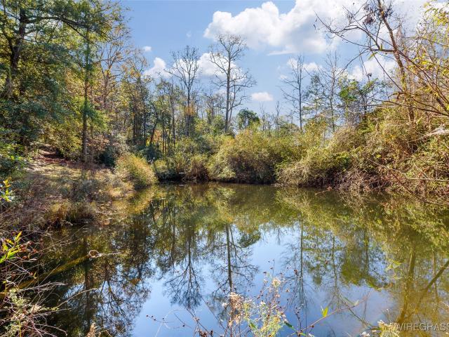 209 County Road 556