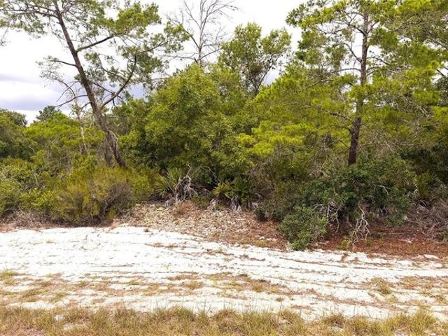 209 Coolidge Ave NE, Lake Placid, FL 33852