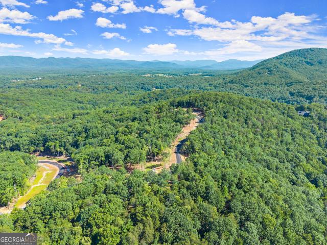 209 Chimney Oaks Trail