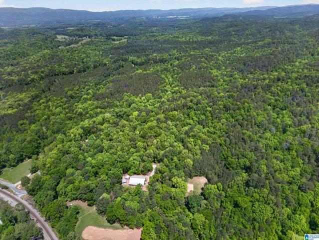 209 Angel Rd, Anniston, AL 36207