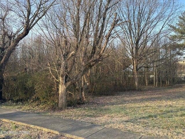209 Babcock St, Tellico Plains, TN 37385