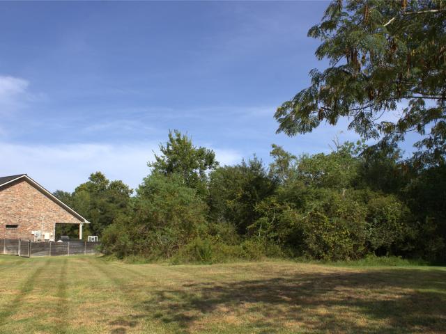 209 Briarwood Drive