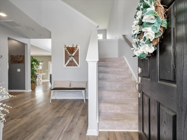 209 Daniels Creek Circle