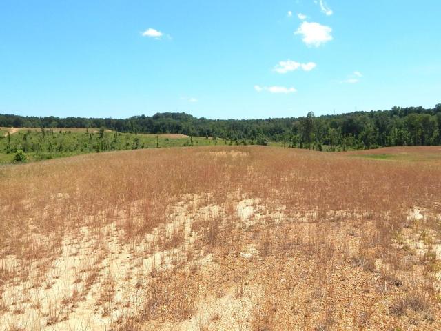 209 Hugh White State Park Road