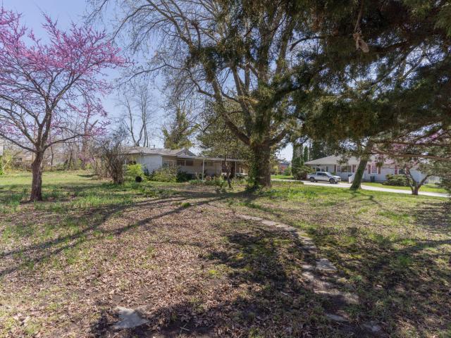 209 jefferson ave