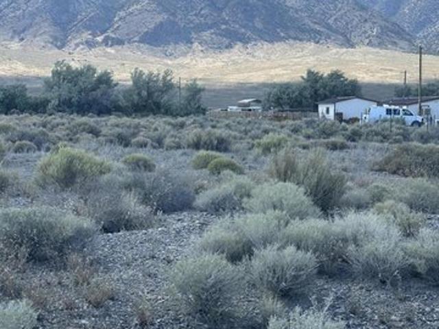 209 Los Padres Rd, Kingston, NV 89310