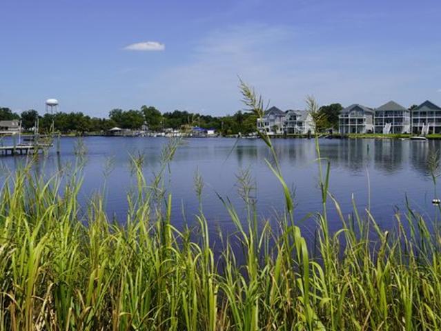 209 Laguna Ln Lot 14, Jacksonville, NC 28540