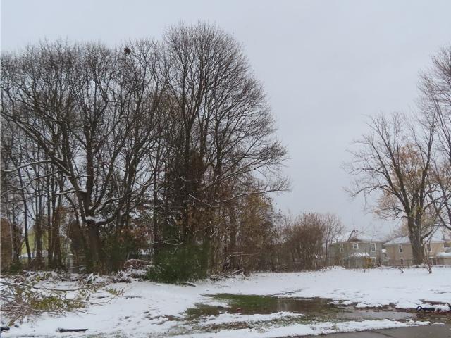 209 Lincoln Ave, Syracuse, NY 13204 | MLS #S1649