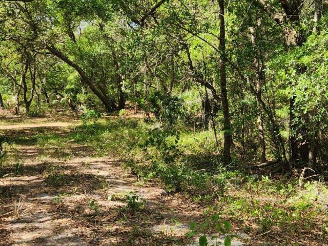 209 Mangrove St, Pomona Park, FL 32181 | MLS #2085 | Compass