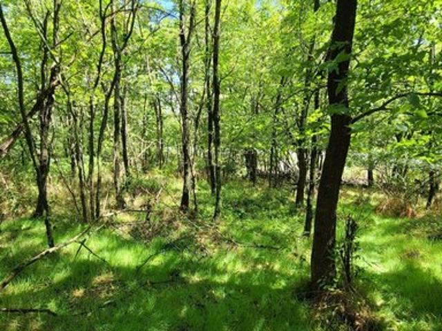 209 Mineral St, Middletown, VA 22645