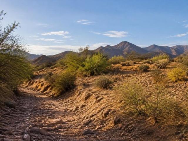 209 N Elizabeth St Unit 103, Gold Canyon, AZ 85118