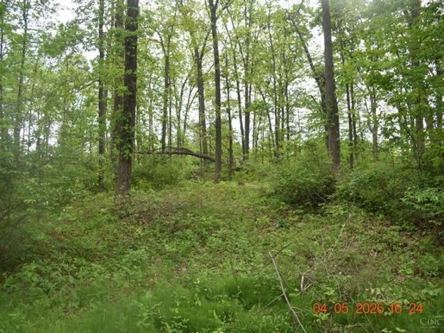 209 Schlitz Dr Unit 209, Perry Township, OH 45118