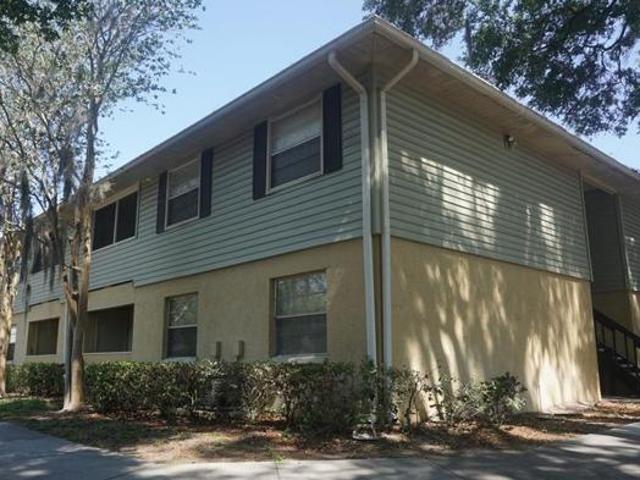 209 Red Maple Pl, Brandon, FL 33510