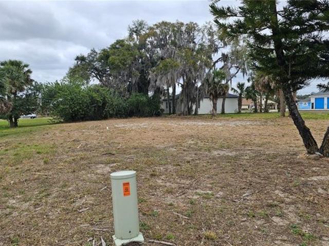209 W Badger Ave, Eustis, FL 32726