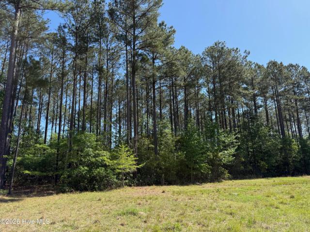 20.51 Acre Sweat Drive