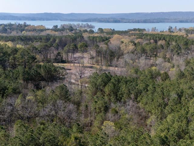 20.6 Acres Murphy Hill Road