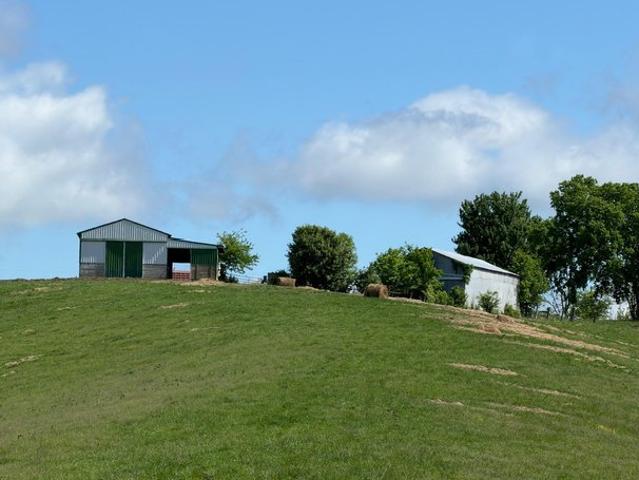 20.99 Ac Chipman Ridge Rd, Williamstown, KY 41097