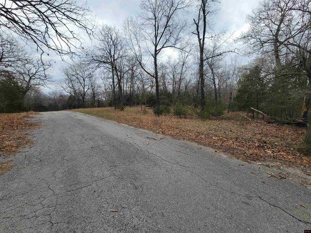 20 0 Lost Mine Rd, Theodosia, MO 65761
