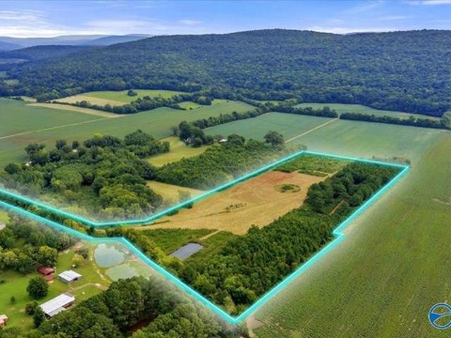 20.3 Acres Maysville Rd, New Market, AL 35761