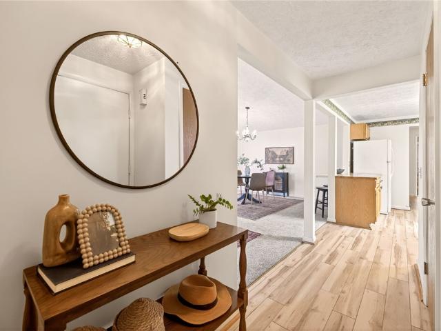 20 Tall Tree Drive