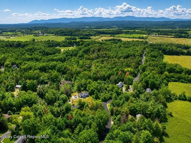 20 Tree Toad Ct, Athens, NY 12015