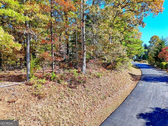 20 Victoria Wds Cir, Hiawassee, GA 30546 | MLS #10631 | Compass