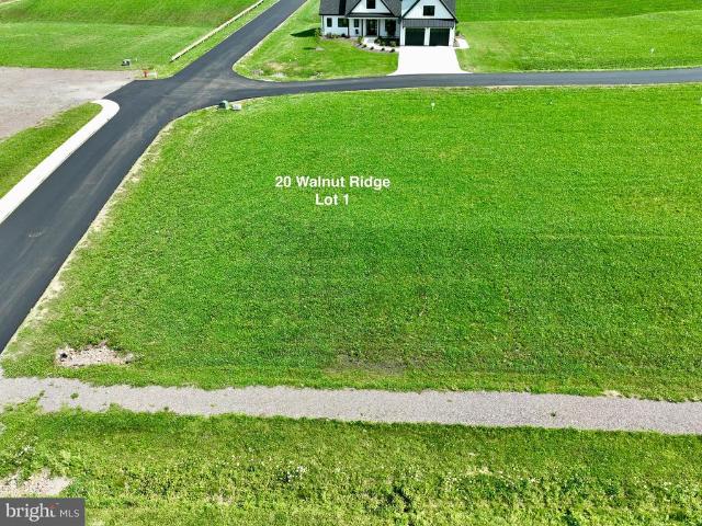 20 Walnut Ridge