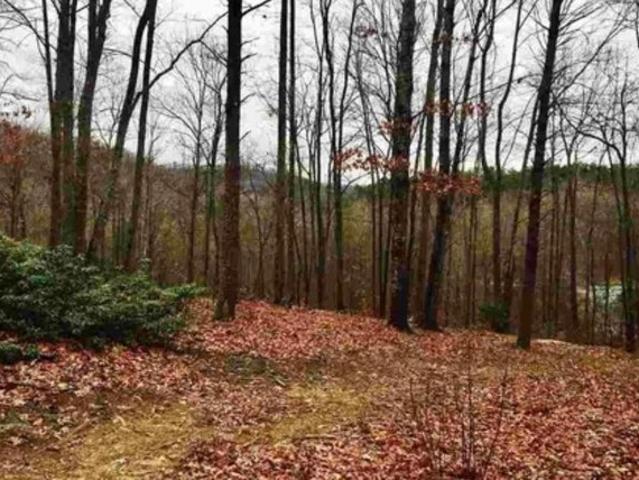 20 Windswept Ln, Travelers Rest, SC 29690