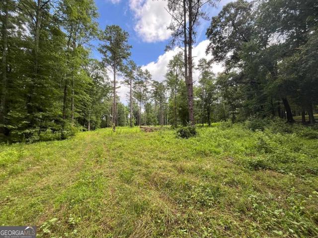20 +/ AC Crooked Creek Road