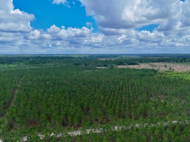 20 Ac Owens Rd, Odum, GA 31555