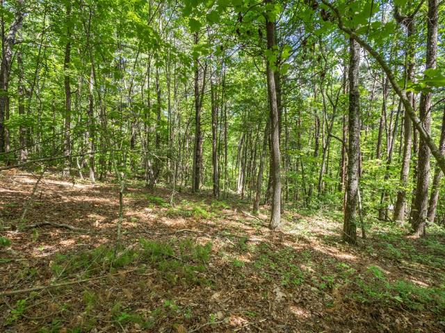 20 AC Pack Mountain Road