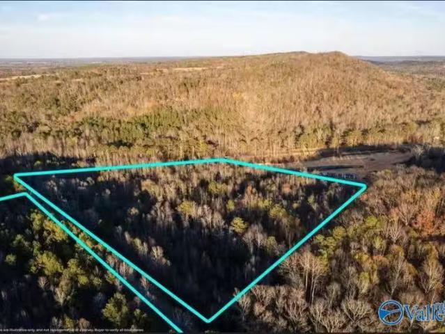 20 ACRES 0 COUNTY HIGHWAY 41, ALTOONA, AL 35952 Vacant Land Fo.