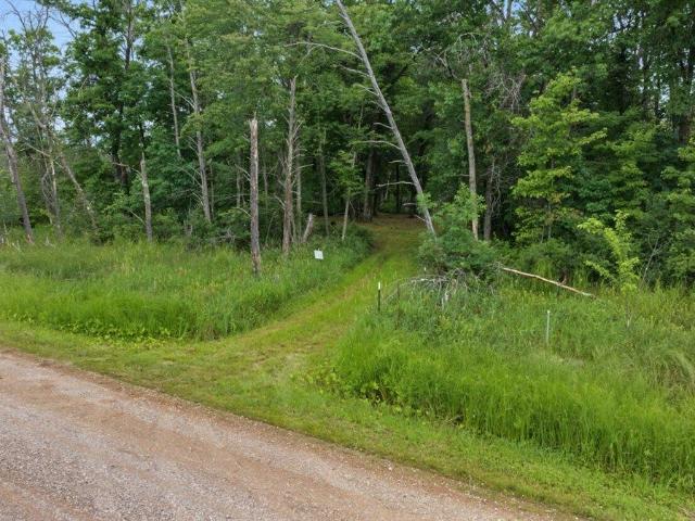 20 Acres Badger Avenue