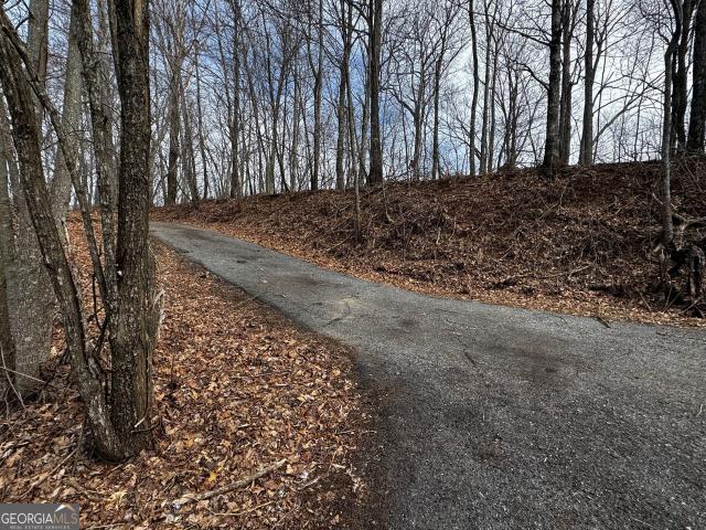 20 ACRES Burnt Leaf Lane
